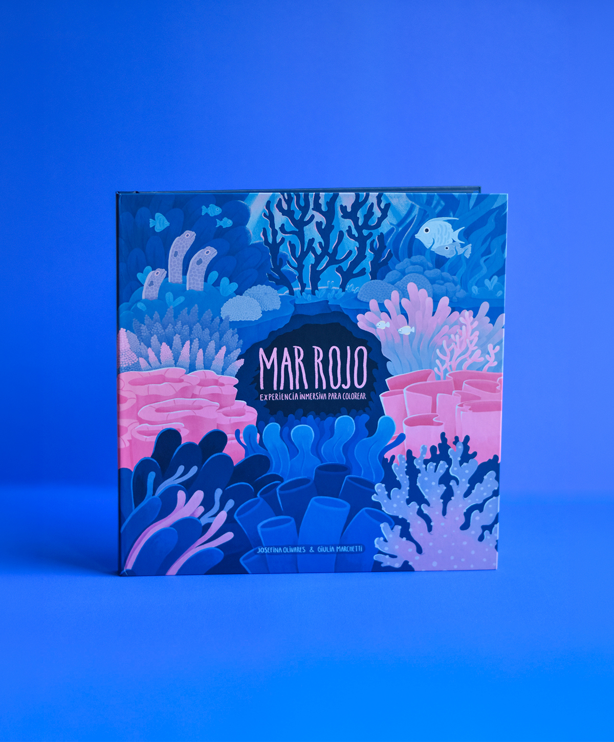Coloring Book del Mar para Adultos y Niños | MAR ROJO Experiencia ...